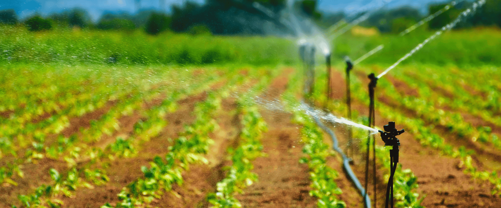 Características de los principales sistemas de riego por aspersión